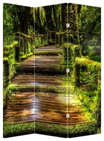 Paraván - Schody v deštném pralese (135 x 180 cm)