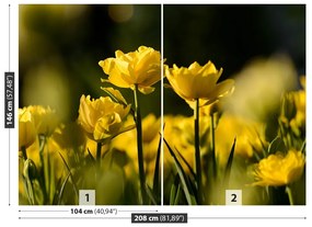 Fototapeta Žlutý Tulipán 104x70