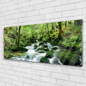Plexisklo-obraz Les Potok Vodopády Řeka 125x50 cm