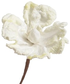 magnolia baby - sníh, krémová
