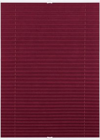 Lichtblick Plisovaná roleta, od 45 x 130 cm (ostružinová, 85 x 130 cm)