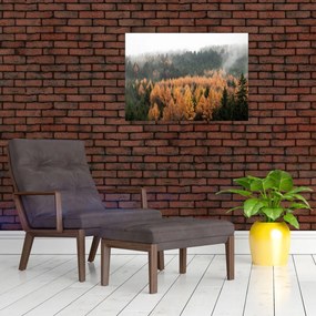 Skleněný obraz - Podzimní les (70x50 cm)