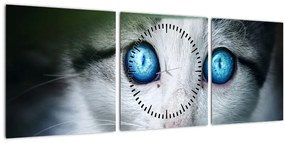 Obraz kočky (s hodinami) (90x30 cm)