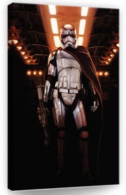 Postershop Obraz na plátně: Star Wars Captain Phasma (1) - 40x60 cm