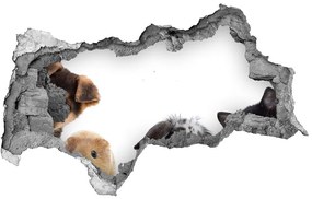 Wallmuralia Díra 3D fototapeta nálepka Domácí zvířata 95x73 cm