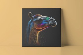 Obraz na plátně - barevný velbloud FeelHappy.cz Velikost obrazu: 100 x 100 cm