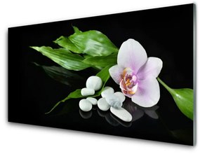 akrylový obraz Květ Kameny Listí 140x70 cm