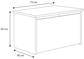 ADRK Úložný box DARIA BAL-UNI, bílá