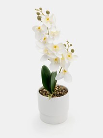 Sinsay - Umělá okrasná orchidej v květináči - bílá