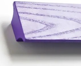 Šatní skříň Git 1 Domel 80/191/50 barva: antracyt/bílý mat/úchyty fialové
