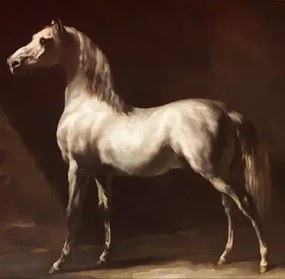 GRAFIKA Čtvercové puzzle Cheval Arabe Gris-Blanc / 1000 dílků / 60 × 6