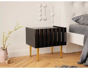 Noční stolek Brimono, Barva dřeva: černá/černý lesk