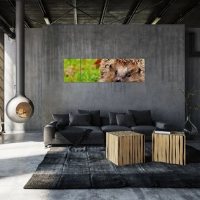 Obraz ježka (170x50 cm)