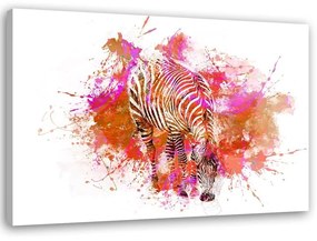Gario Obraz na plátně Barevný akvarel zebry - Andrea Haase Rozměry: 60 x 40 cm