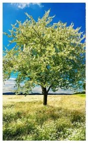 DIMEX | Vliesová fototapeta na zeď Strom na louce MS-2-0096  | 150 x 250 cm | zelená, modrá