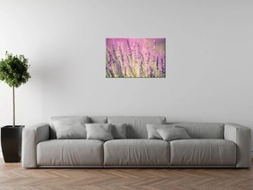 Gario Obraz na plátně Krásné levandule Rozměry: 30 x 30 cm