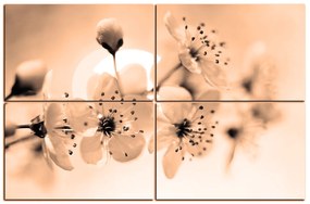 Obraz na plátně - Malé květy na větvi 1173FE (150x100 cm)