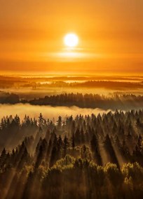 Umělecká fotografie Golden beautiful foggy forest sunbeams, Aulanko,, Milamai, (30 x 40 cm)