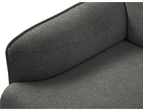 Šedá pohovka Windsor &amp; Co Sofas Neso, 235 cm