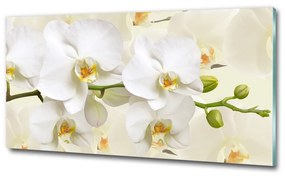 Wallmuralia Fotoobraz na skle Orchidej 100x50