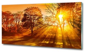 Wallmuralia Foto obraz fotografie na skle Západ slunce 100x50