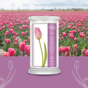 Kringle Candle svíčka BOTANICAL Tulip (sójový vosk), 623 g