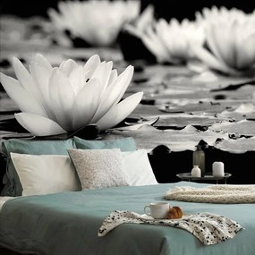Tapeta lotosový květ černobílý - 150x100 cm