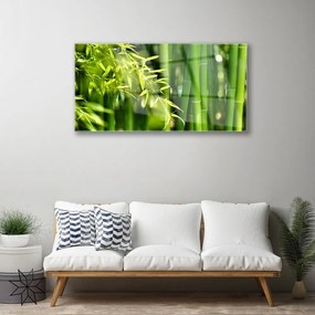 Obraz na skle Bambus Listy Rostlina 140x70 cm