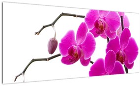 Obraz orchidejí na zeď (100x40cm)