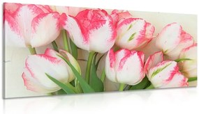 Obraz tulipány v jarním nádechu - 100x50 cm