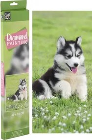 GRAFIX Diamantové malování Husky / 40x50 cm