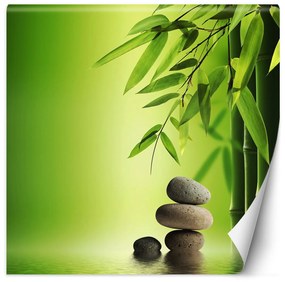 Gario Fototapeta Bambusové listy na zeleném pozadí Materiál: Vliesová, Rozměry: 100 x 100 cm