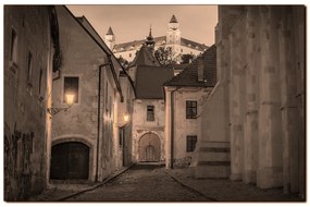 Obraz na plátně - Bratislava staré město s hradem vzadu 1265FA (60x40 cm)
