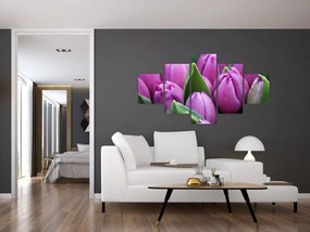 Obraz - květy tulipánů (125x70 cm)