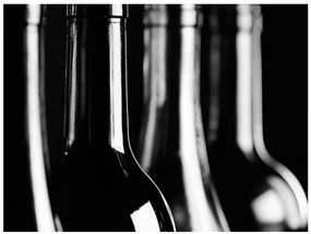 Fototapeta - Wine bottles