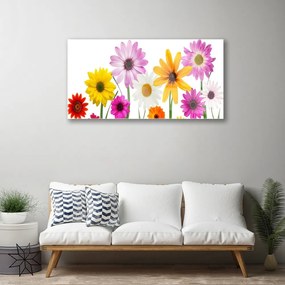 Obraz na skle Barevné Květiny Příroda 120x60 cm
