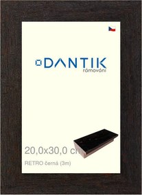 DANTIK rámeček 20x30 | RETRO černá (Sklo Čiré)