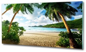 Wallmuralia Fotoobraz na skle Palmy na pláži 100x50