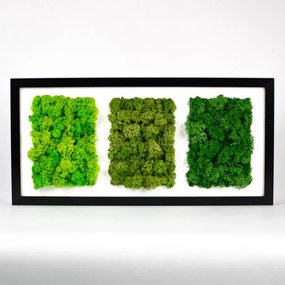 Mechový trojobraz | 49x22 cm | 3 zelené - černý rám