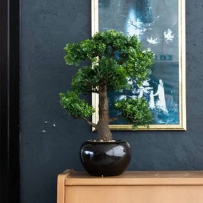 Emerald Umělý Fíkus Mini Bonsai Zelený 47 Cm 420006