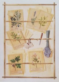 ART-STYLE Obrázek 30x40, botanika IV., rám bílý s patinou