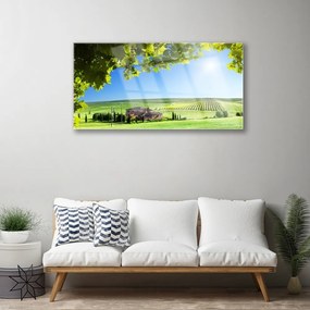 Obraz na skle Pole Listy Krajina 100x50 cm