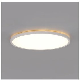 LED Koupelnové stropní svítidlo NIVERA LED/12W/230V IP54 pr. 22,5 cm bílá