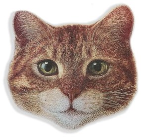 Dekorativní polštář u mikrovlákna Really Nice Things Cat Face
