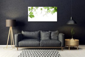 Obraz na skle Větve Listy Příroda Květiny 140x70 cm