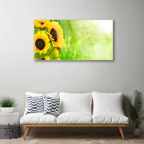 Obraz na skle Slunečníce Rostlina 100x50 cm
