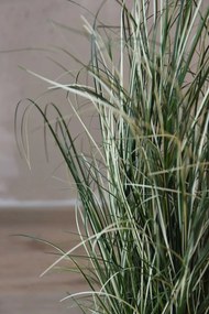 Umělá tráva v černém květináči GREVY, výška 85 cm, plast, zelená