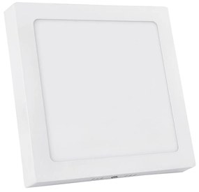 Indeluz 599D-L3118A-01 stropní přisazené LED svítidlo Gia, čtvercové, bílé, 18W, 3000K, 110°, 22,5cm, IP23