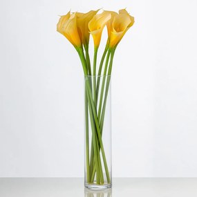 Luxusní lilie ELISA žlutá. Cena je za 1 kus.