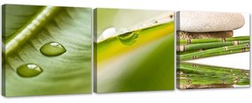Gario Sada obrazů na plátně Zenová listy s kapkami rosy - 3 dílná Rozměry: 90 x 30 cm